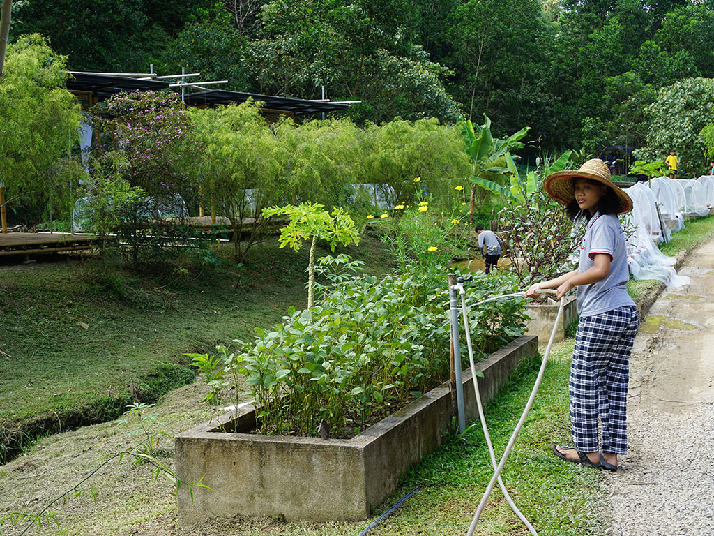 Farm Academy - What We Do | Dignity For Children Foundation