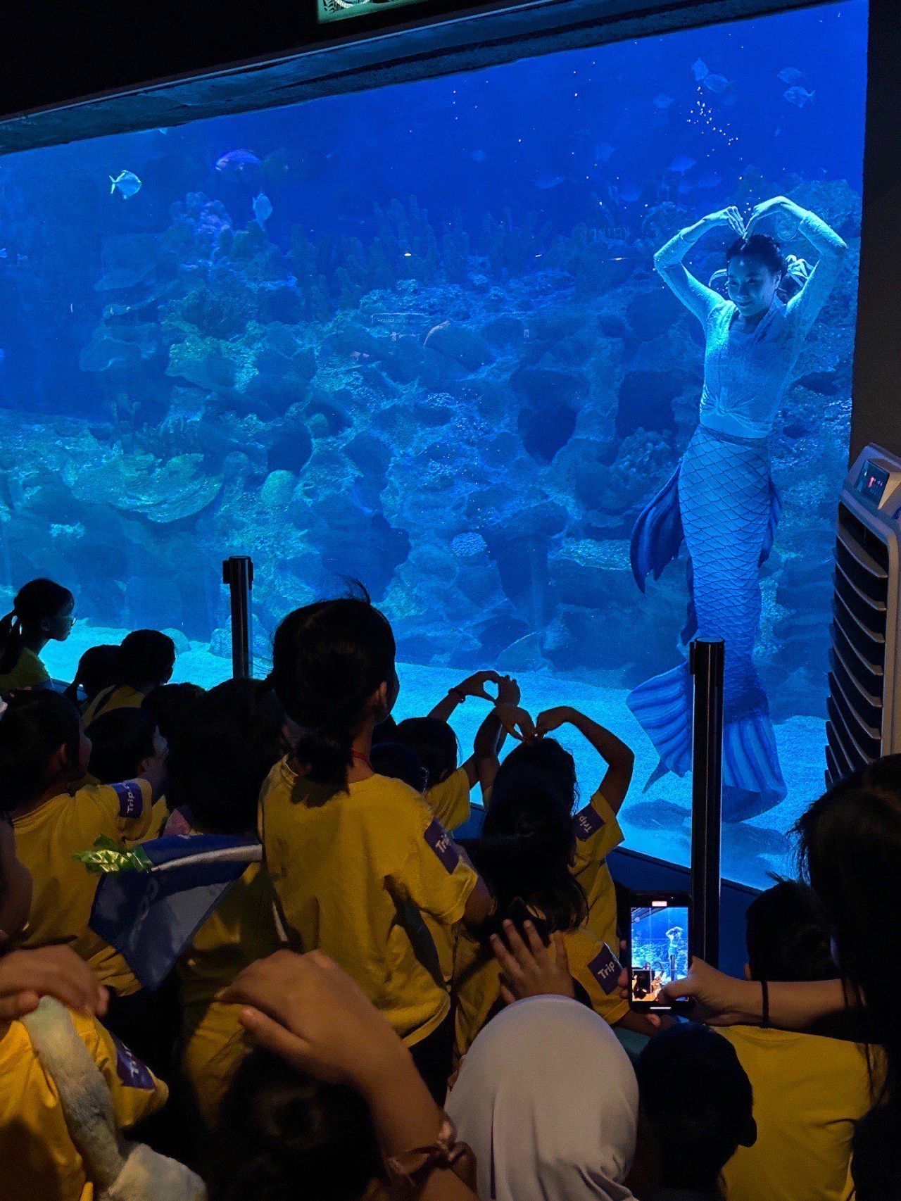 Empowerment Through Education: A Splash of Fun and Learning at Aquaria ...