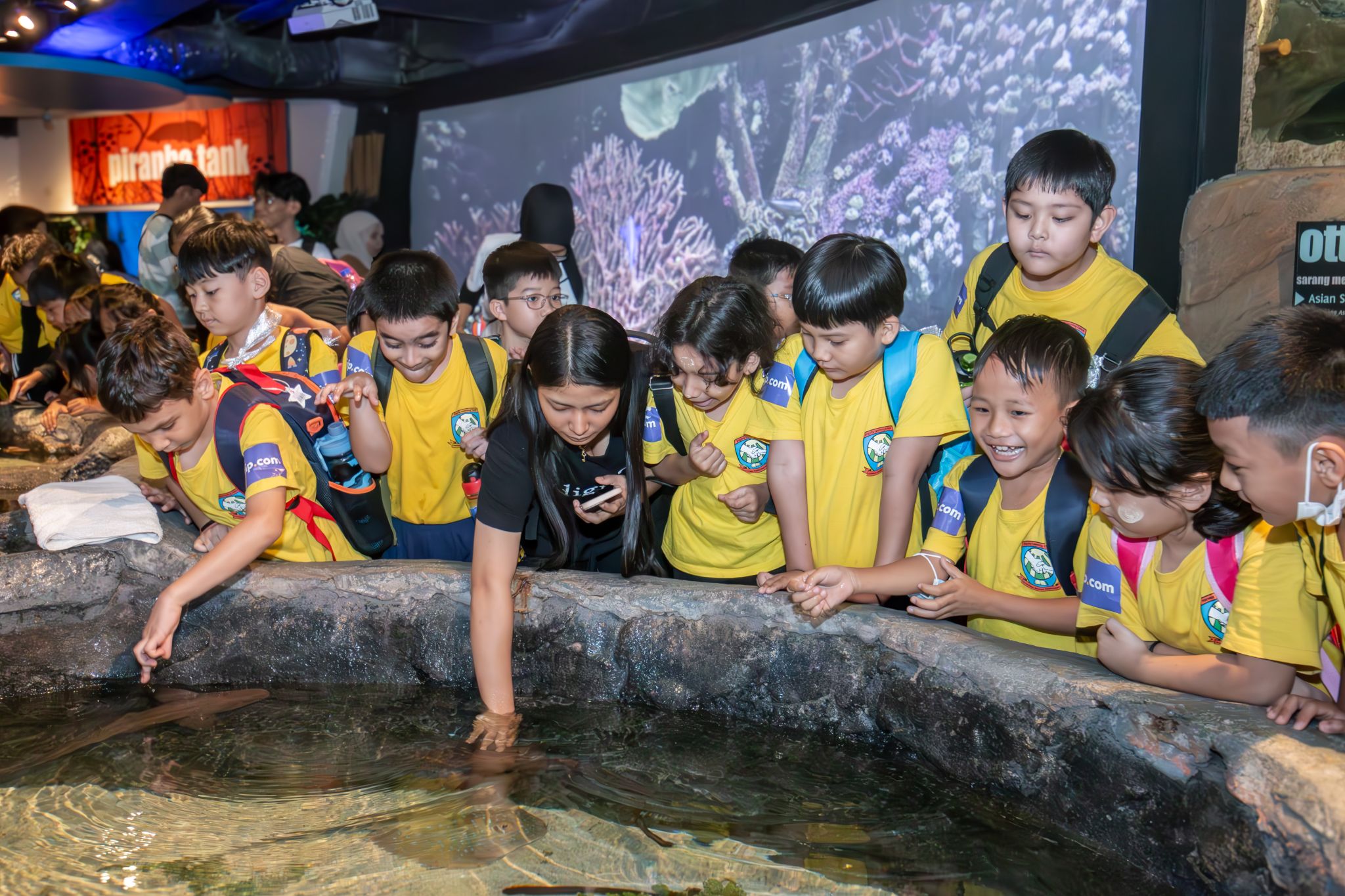 Empowerment Through Education: A Splash of Fun and Learning at Aquaria ...