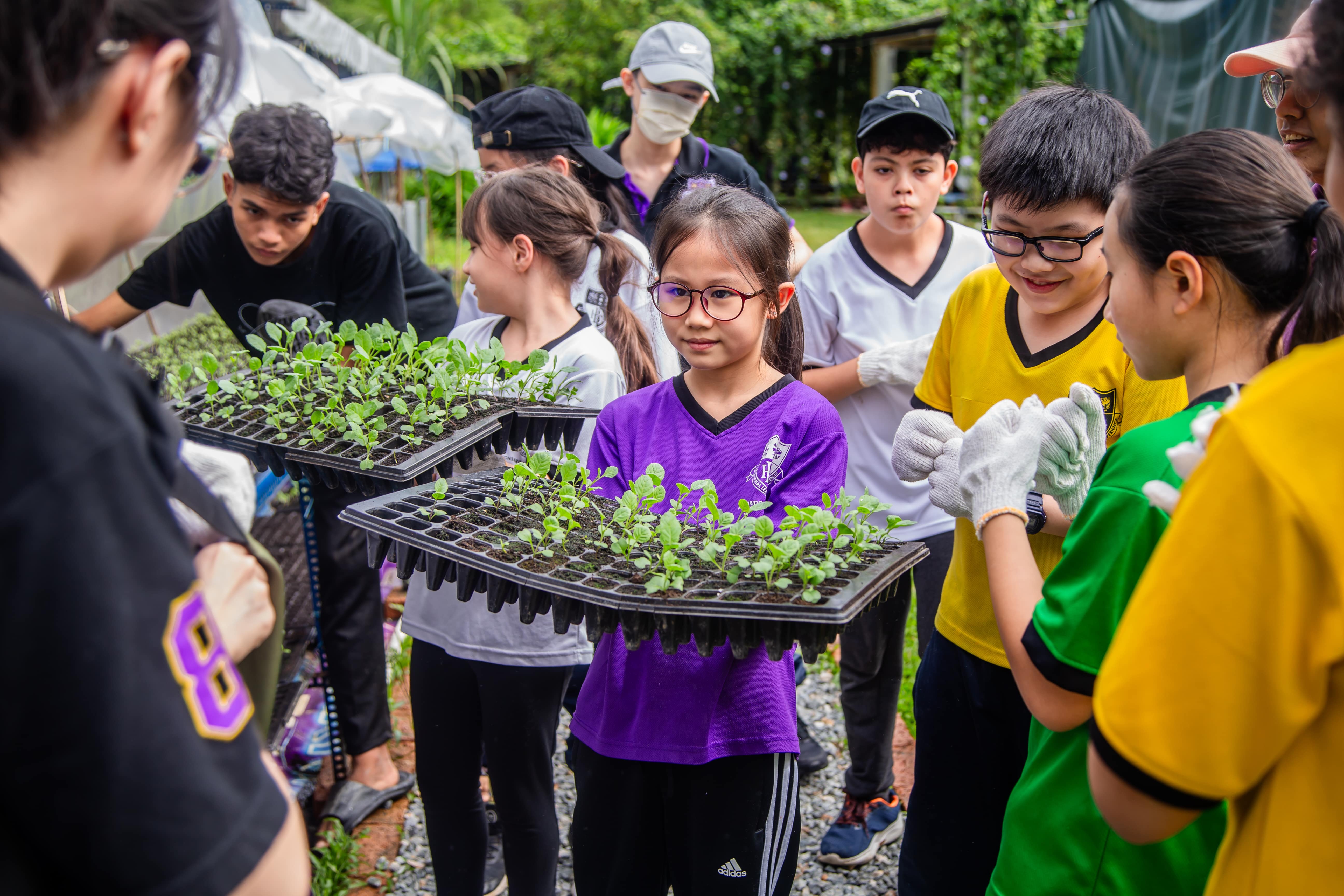 Honsbridge International School's Day of Fun and Learning at Dignity ...
